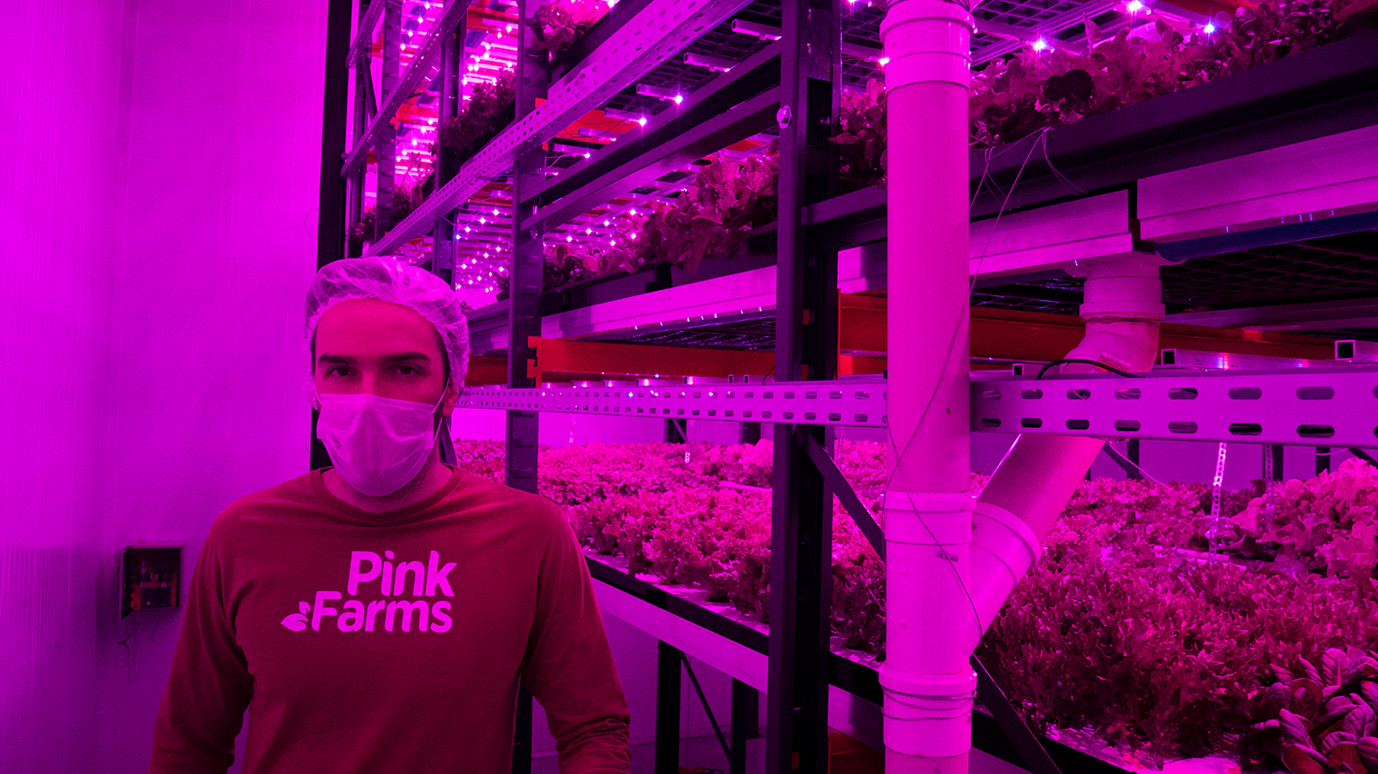 Visitamos a Pink Farms, primeira fazenda urbana em São Paulo - StartAgro